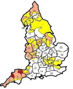 Anglo-Norman Dictionary :: Vulgar descendants: Anglo-Norman in dialect ...